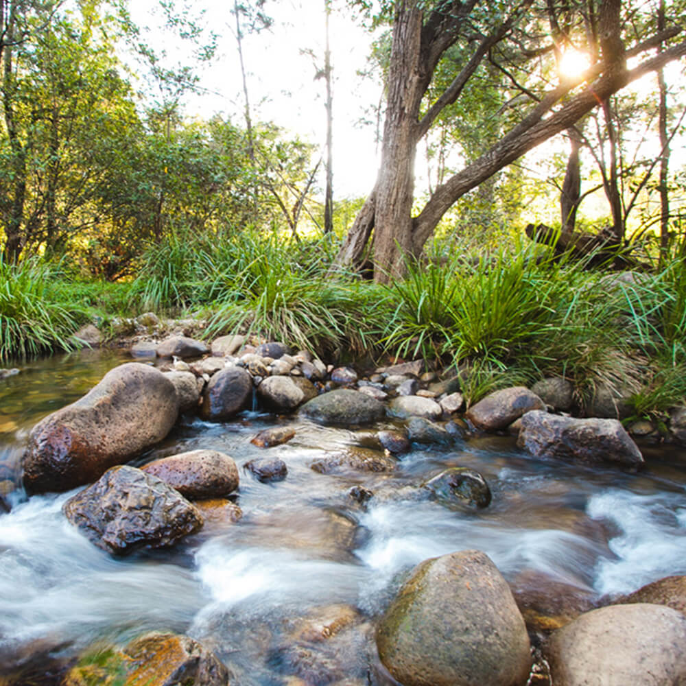 Explore - Mt Barney Lodge